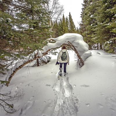 Raquette et marche hivernale au Québec